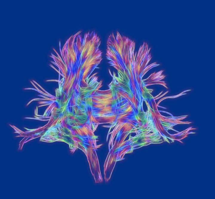 Our Team - Center for Neuroengineering